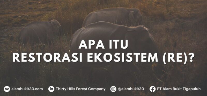 Mengenal Restorasi Ekosistem (RE) - PT Alam Bukit Tigapuluh