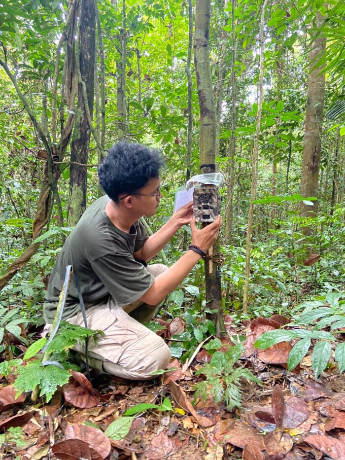 Melihat Lebih Dalam: Peran Vital Camera Trap dalam Upaya Restorasi ...